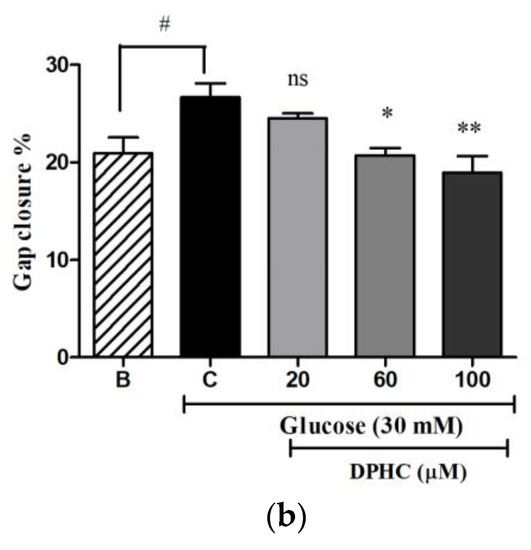 Diphlorethohydroxycarmalol Isolated from Ishige okamurae Represses High ...