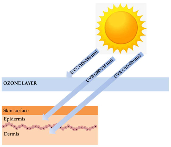 Photoprotective Substances Derived from Marine Algae