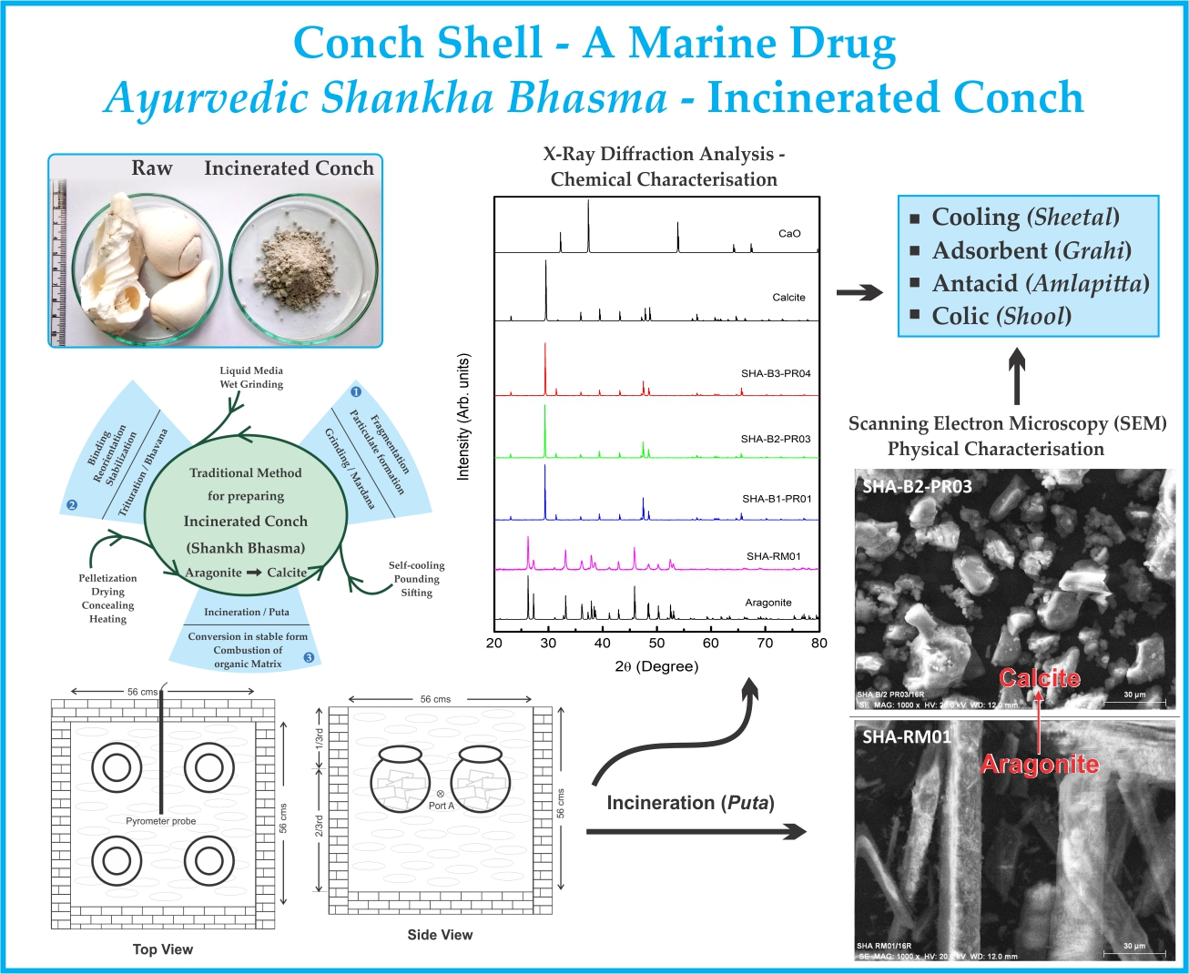 Marine Drugs Free Fulltext Are The Traditional Medical Uses Of