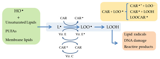 Marine Drugs | Free Full-Text | Chemically-Induced Production of Anti ...