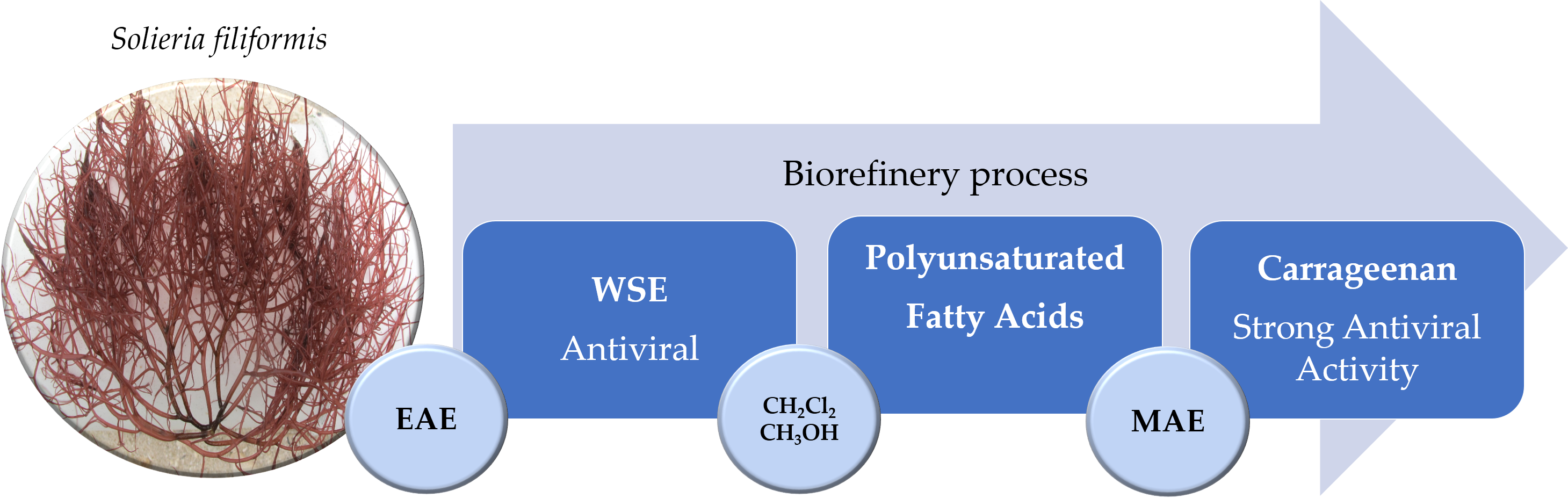 Marine Drugs | Free Full-Text | Environmentally Friendly Valorization ...