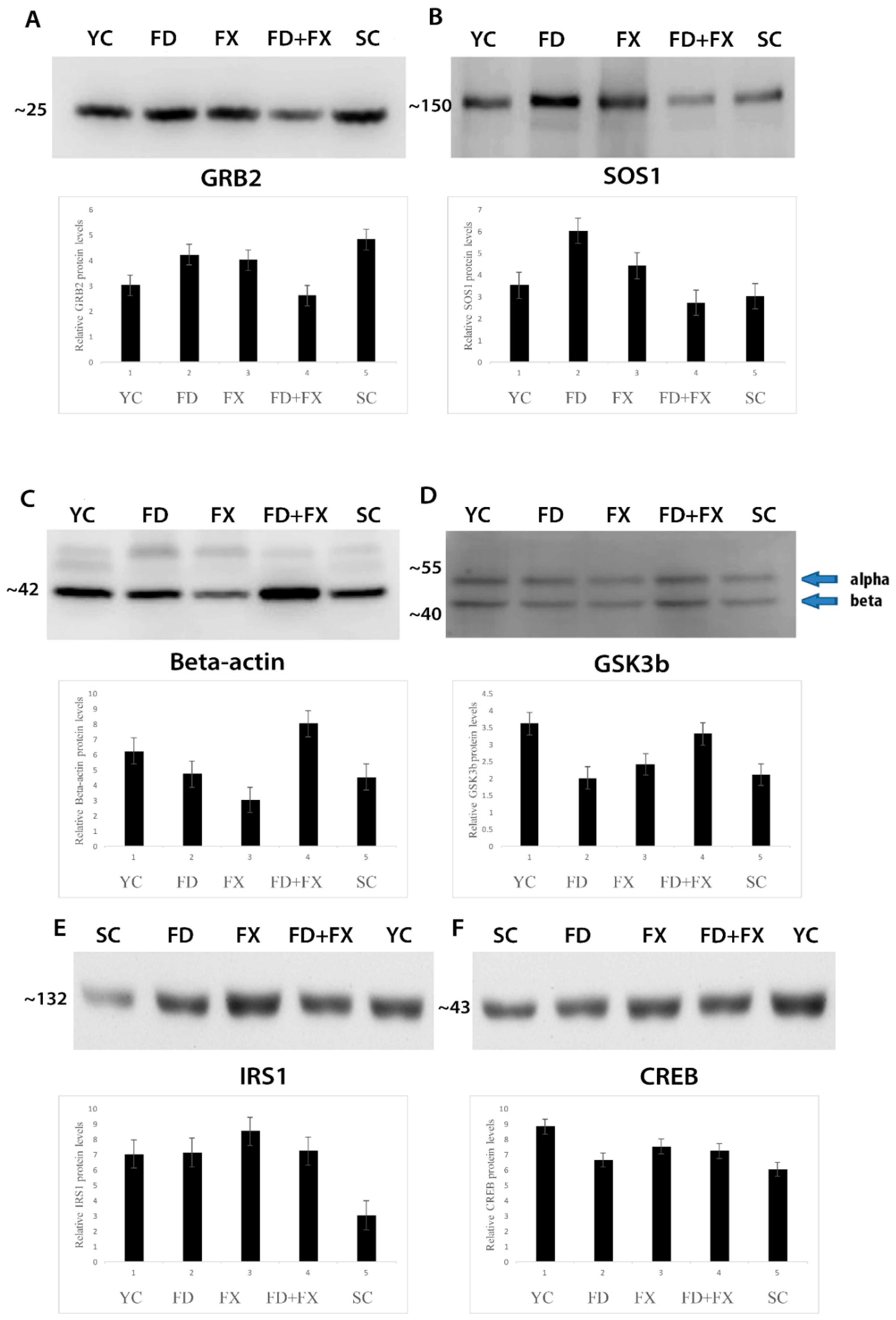Fucoidan–Fucoxanthin Ameliorated Cardiac Function via IRS1/GRB2/ SOS1 ...