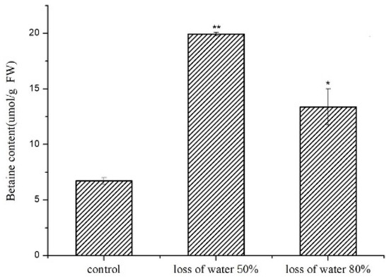Functional Characterization and Evolutionary Analysis of Glycine ...
