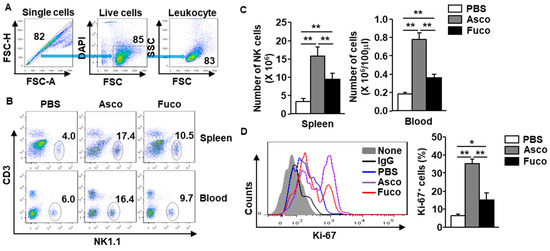 Ascophyllan Induces Activation of Natural Killer Cells in Mice In Vivo ...