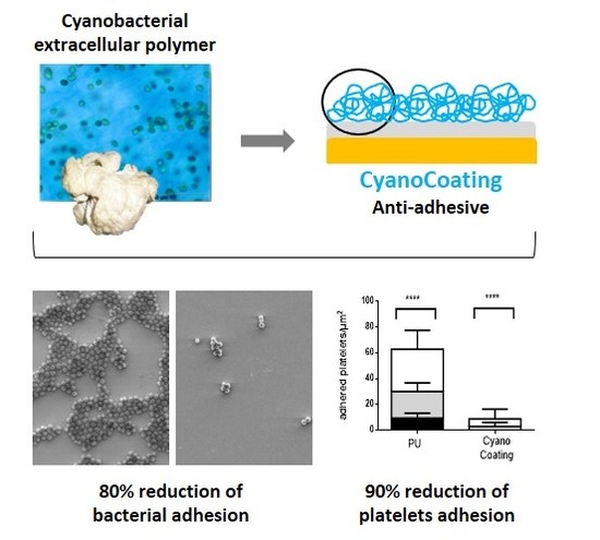 Marine Drugs | Free Full-Text | Broad-Spectrum Anti-Adhesive Coating ...