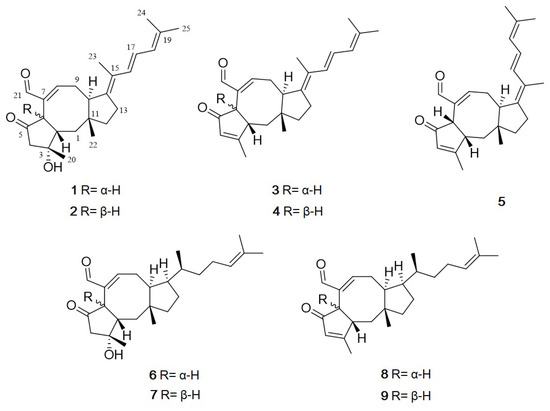 New Ophiobolin Derivatives from the Marine Fungus Aspergillus ...