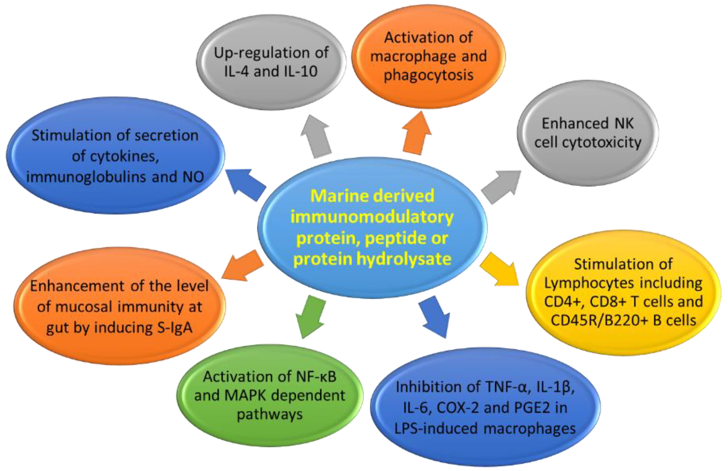 Marine Drugs Free Full Text Antimicrobial And Immunomodulatory