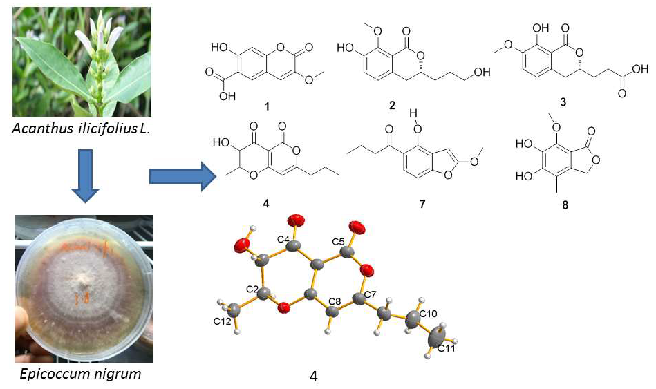 Marine Drugs | Free Full-Text | The Purification, Characterization, and ...