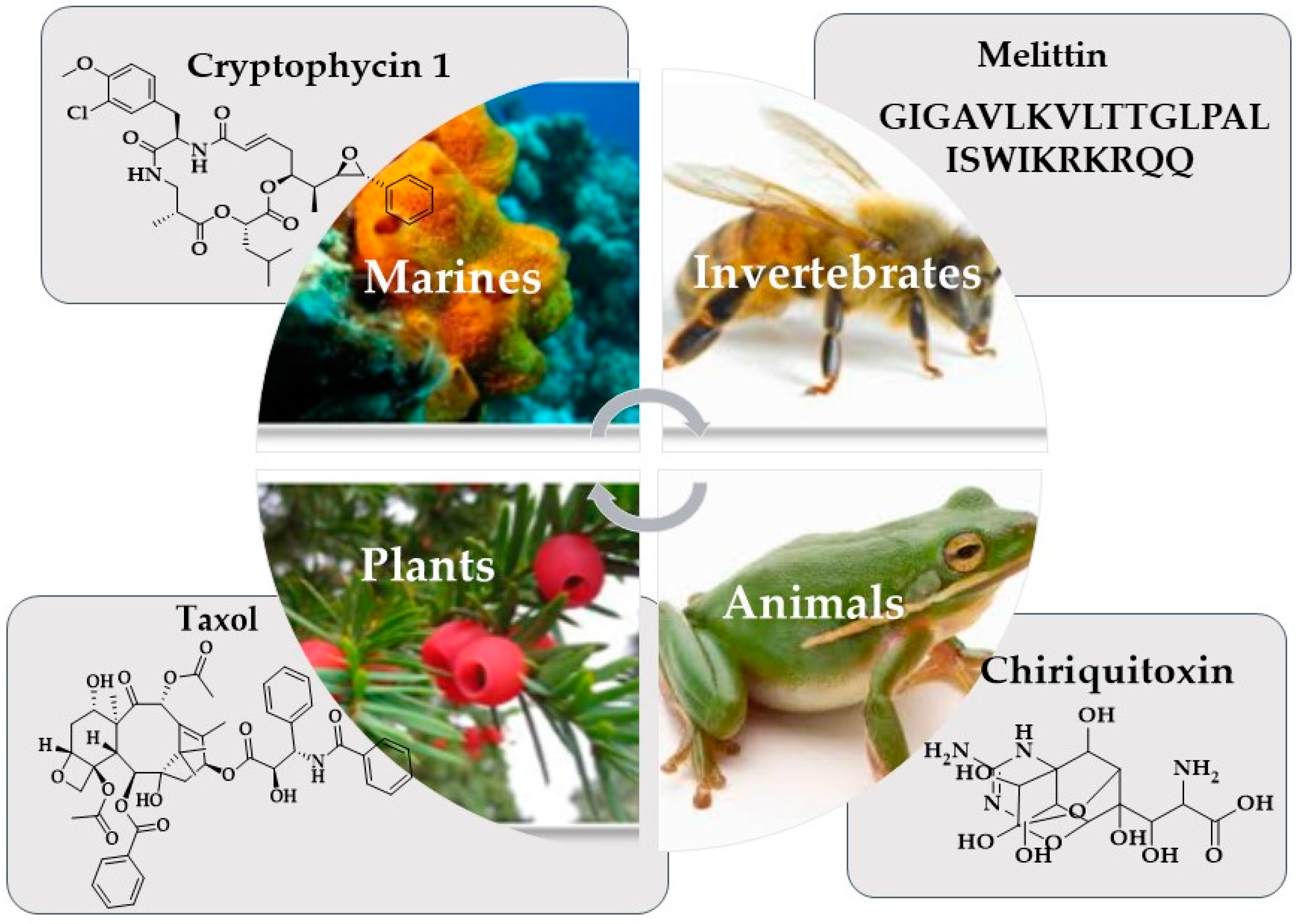 Marine Drugs Free Full Text Marine Natural Products A Source Of