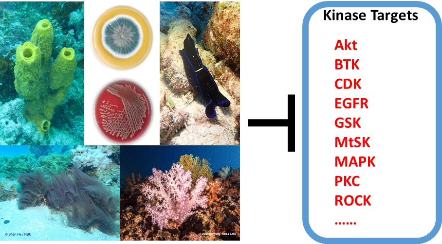 Marine Drugs | Free Full-Text | A Systematic Review of Recently ...