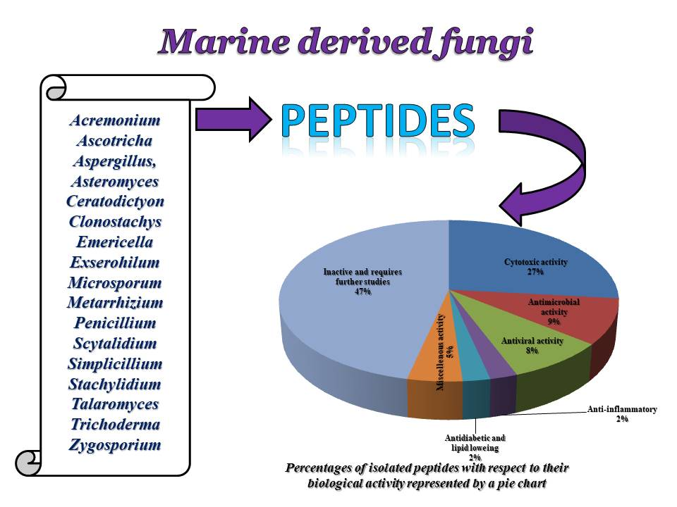 Marine Drugs Free Full Text A Comprehensive Review Of Bioactive