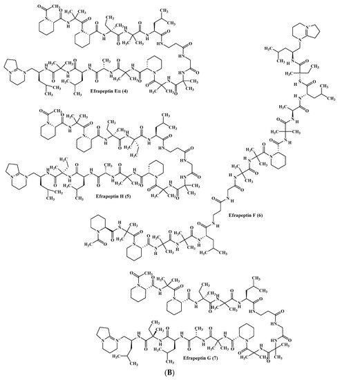 A Comprehensive Review of Bioactive Peptides from Marine Fungi and ...
