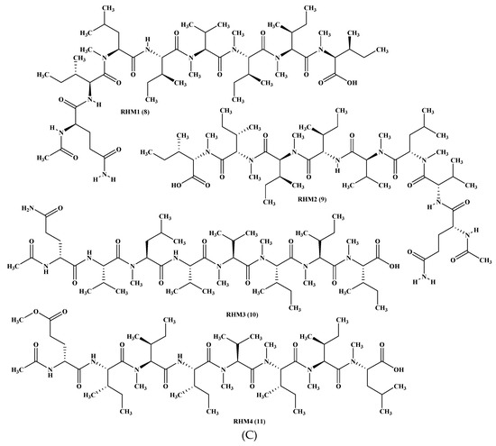 A Comprehensive Review of Bioactive Peptides from Marine Fungi and ...