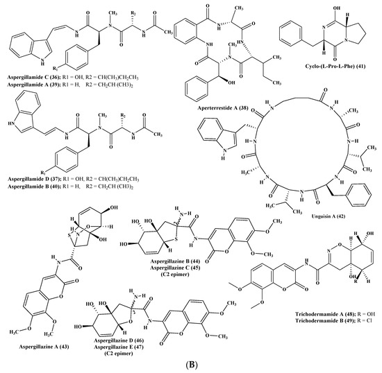 A Comprehensive Review of Bioactive Peptides from Marine Fungi and ...