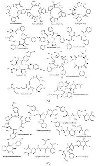 A Comprehensive Review of Bioactive Peptides from Marine Fungi and ...
