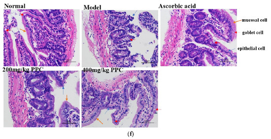 Anti-Inflammatory and Anti-Aging Evaluation of Pigment–Protein Complex ...