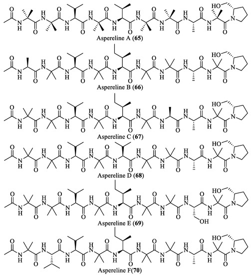 Deep-Sea Fungi Could Be the New Arsenal for Bioactive Molecules