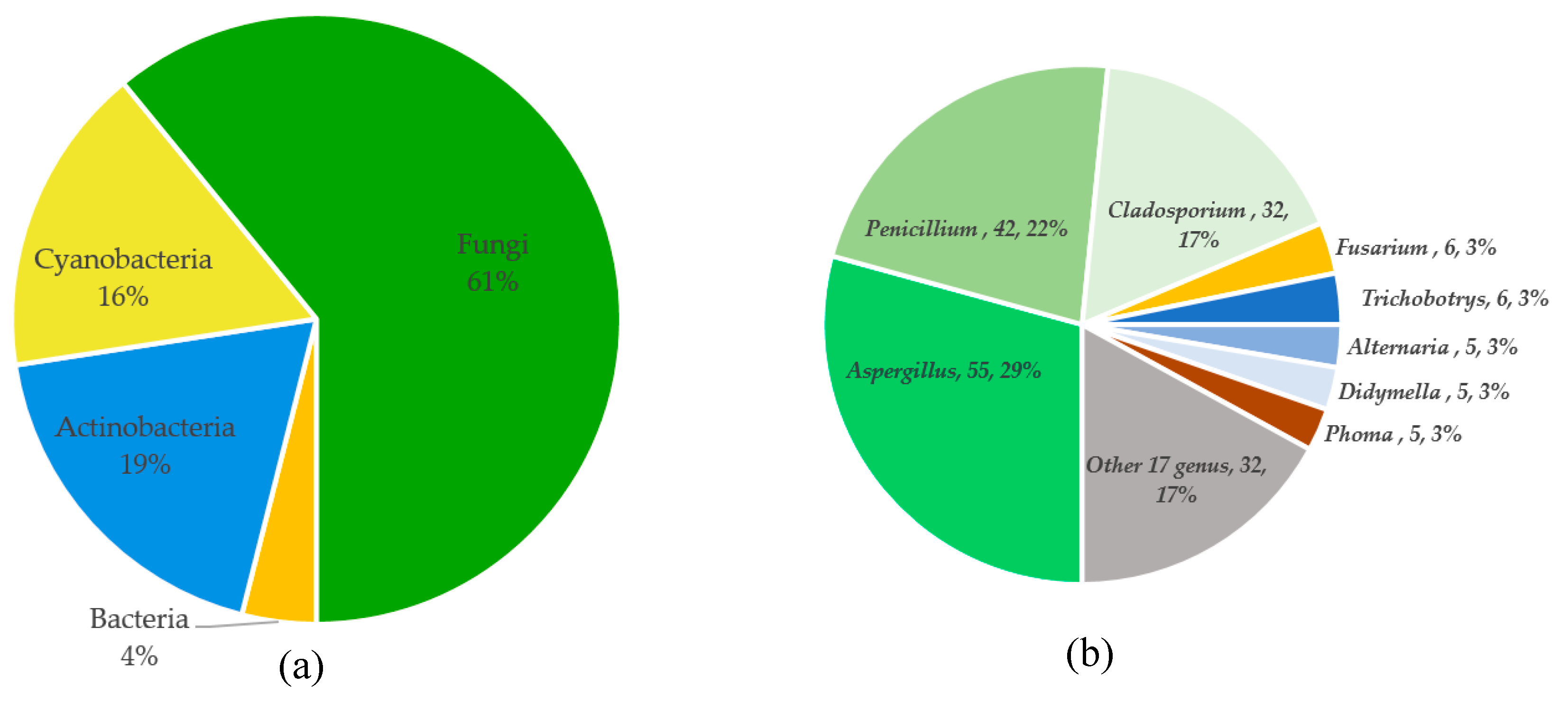 Marine Drugs Free Full Text The Biological And Chemical Diversity