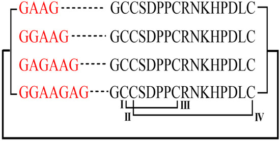 Effects of Cyclization on Activity and Stability of α-Conotoxin TxIB