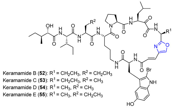 Naturally Occurring Oxazole-Containing Peptides