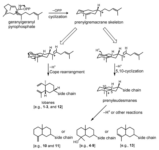 Marine Drugs | Free Full-Text | Isolation of Lobane and Prenyleudesmane ...