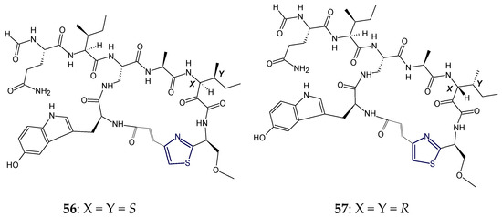 Natural Bioactive Thiazole-Based Peptides from Marine Resources ...
