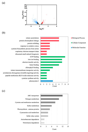 Glyceroglycolipid Metabolism Regulations under Phosphate Starvation ...