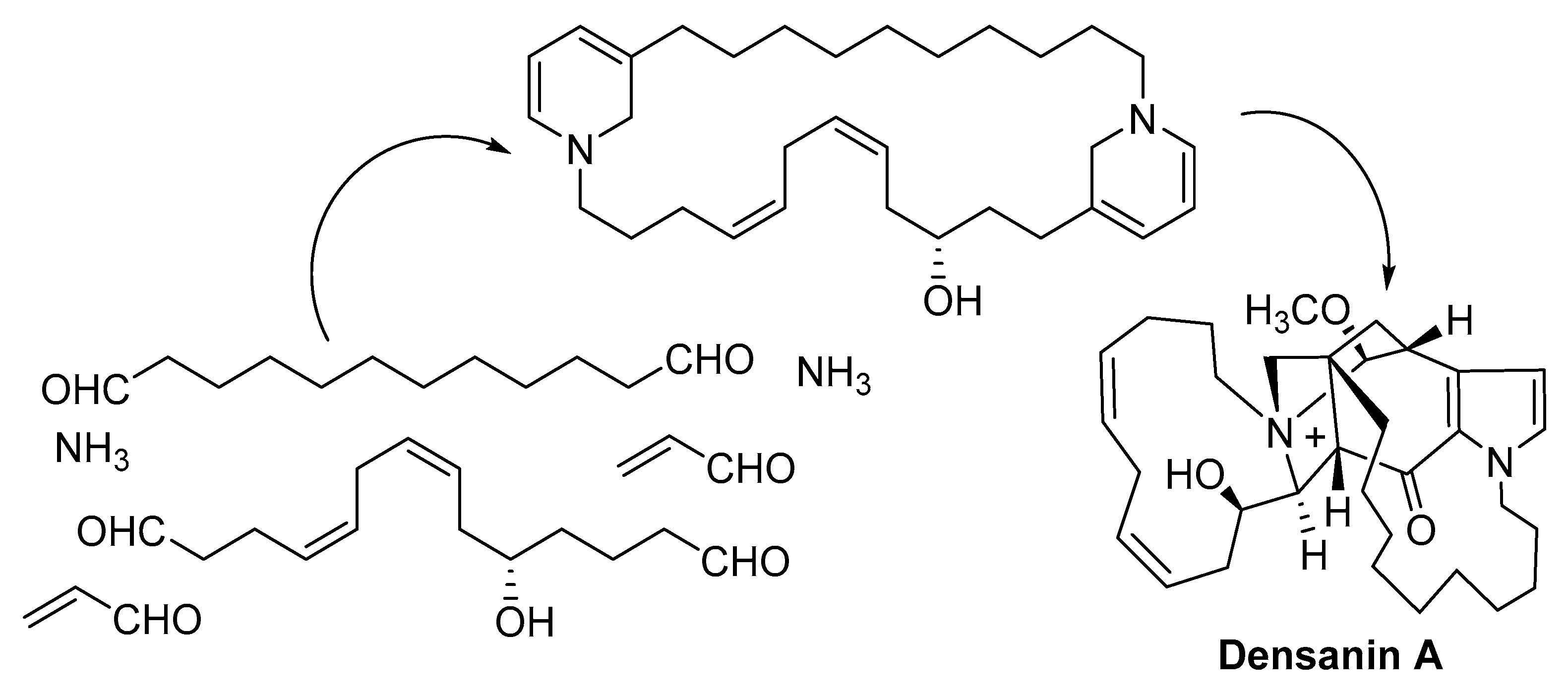 Marine Drugs Free Full Text Marine Derived Macrocyclic Alkaloids