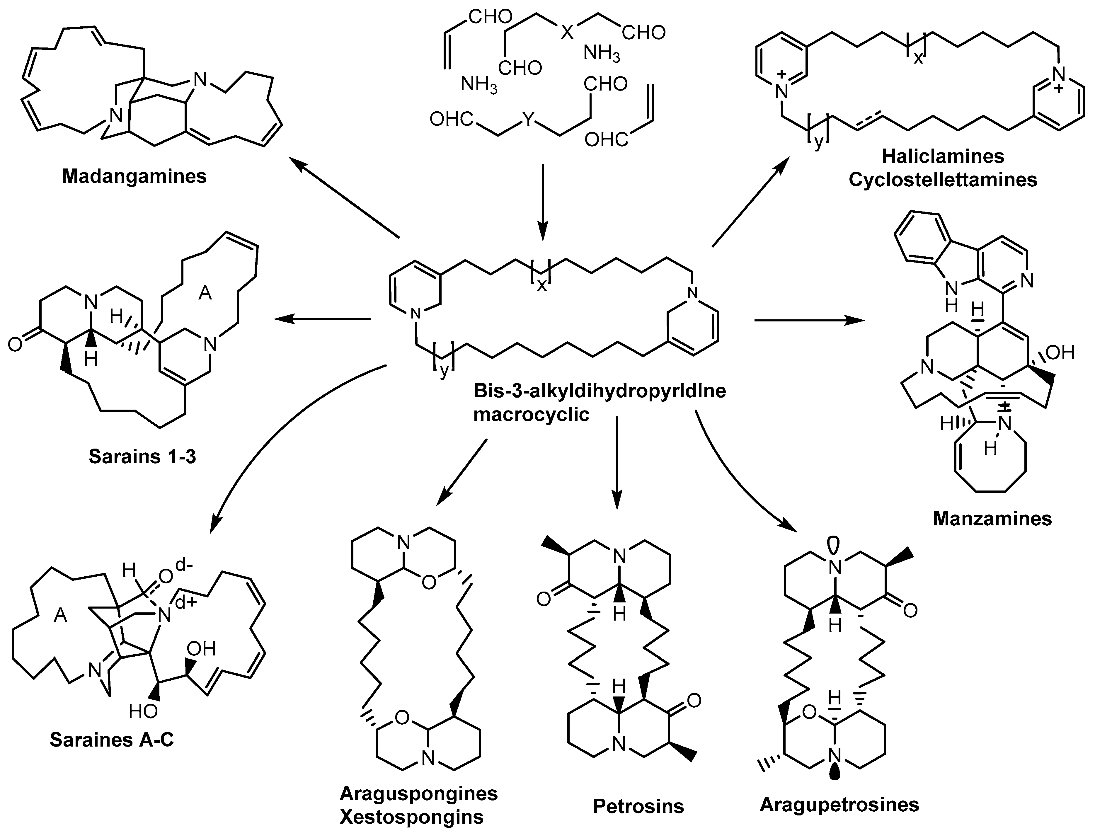 Marine Drugs Free Full Text Marine Derived Macrocyclic Alkaloids
