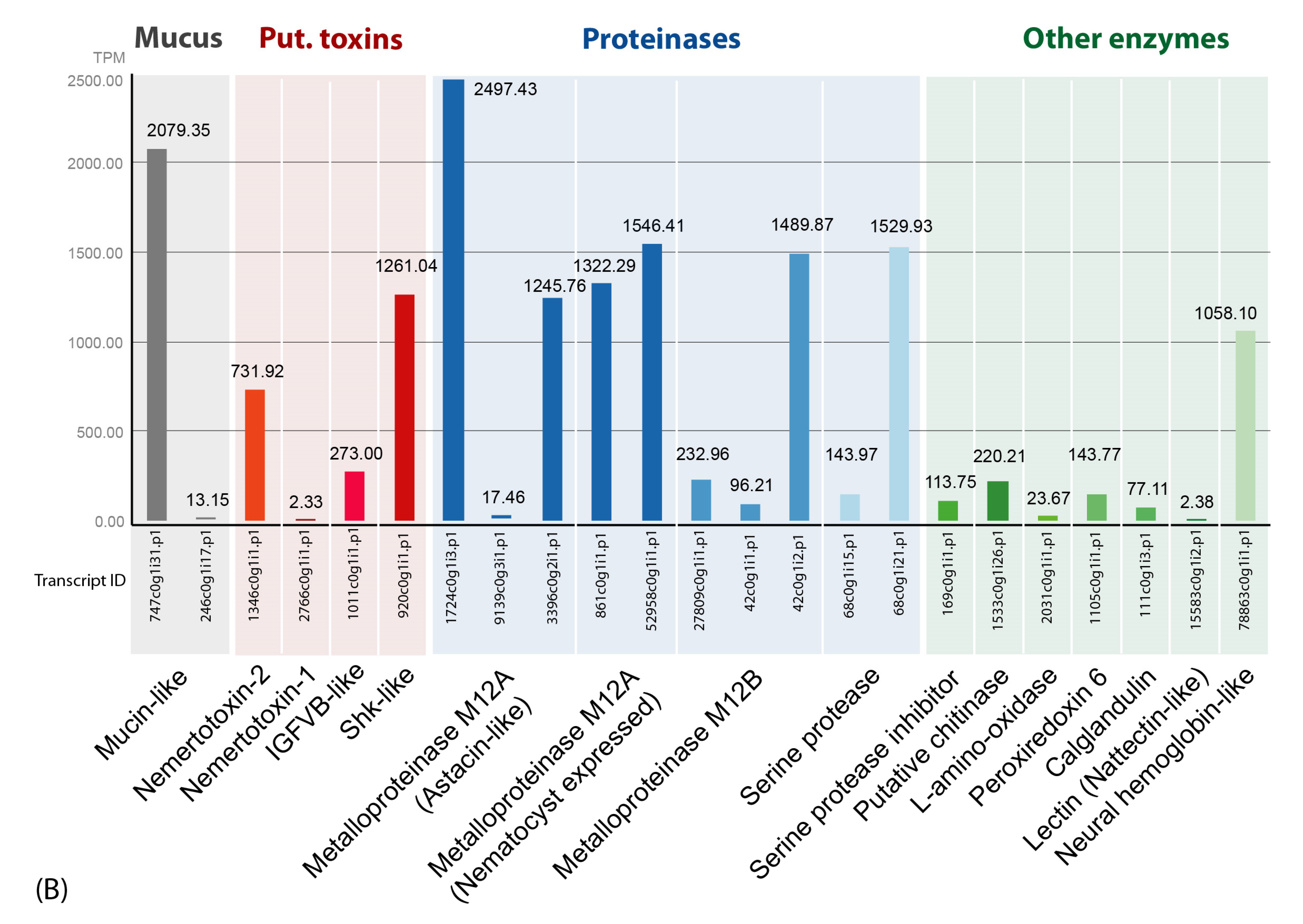Marine Drugs | Free Full-Text | Proteo-Transcriptomic Analysis ... Marine Drugs | Free Full-Text | Proteo-Transcriptomic Analysis ...