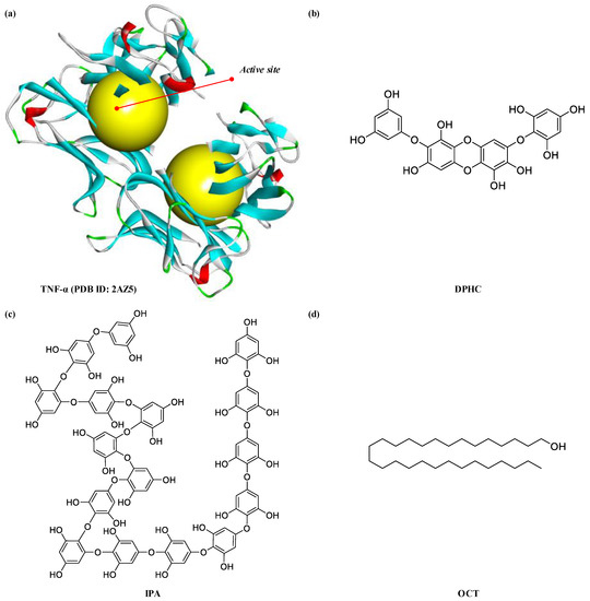Diphlorethohydroxycarmalol (DPHC) Isolated from the Brown Alga Ishige ...