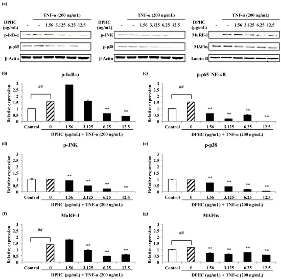 Diphlorethohydroxycarmalol (DPHC) Isolated from the Brown Alga Ishige ...