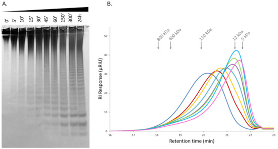 Functional Characterization of a New GH107 Endo-α-(1,4)-Fucoidanase ...
