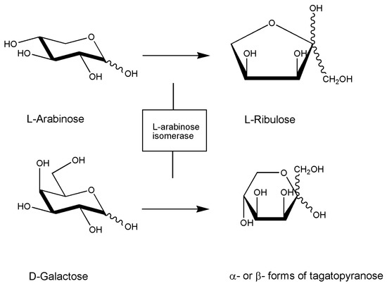 Marine Drugs | Free Full-Text | Application-Oriented Marine Isomerases ...