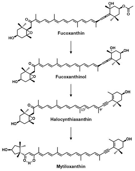 Evaluation of Intestinal Absorption of Dietary Halocynthiaxanthin, a ...
