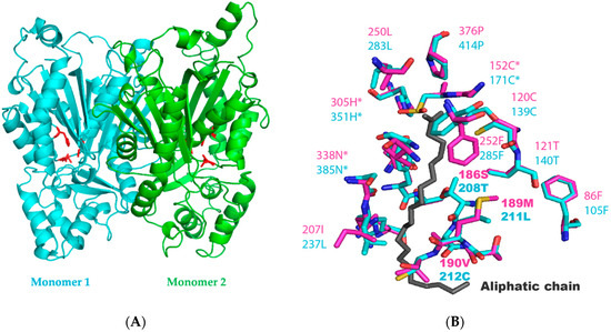 Identification and Characterization of a New Type III Polyketide ...