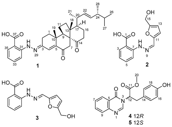 Phenylhydrazone and Quinazoline Derivatives from the Cold-Seep-Derived ...
