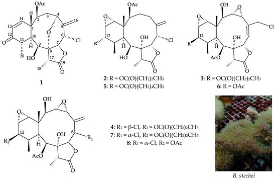 Briarenols W–Z: Chlorine-Containing Polyoxygenated Briaranes from ...