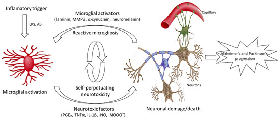 The Seaweed Diet in Prevention and Treatment of the Neurodegenerative ...
