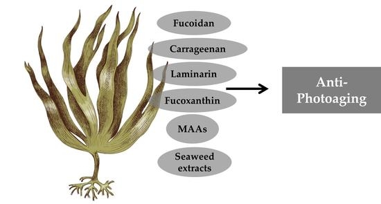 Macrocystis Microscope
