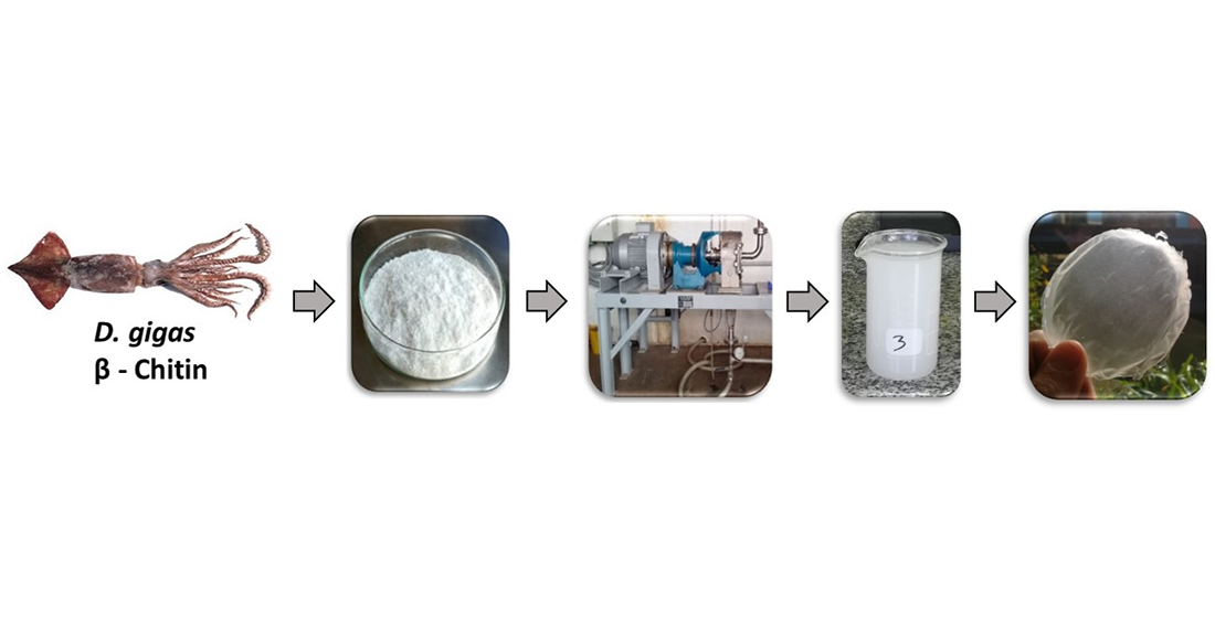 Marine Drugs | Free Full-Text | Utilization of Marine Waste to Obtain β ...