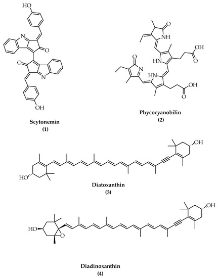 Cyanobacteria—From the Oceans to the Potential Biotechnological and ...