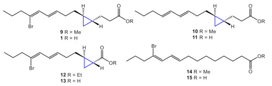 Marine Drugs Free Full Text Total Synthesis And Anti Inflammatory