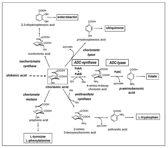 Abyssomicins—A 20-Year Retrospective View
