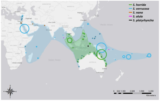 The Geographic Distribution, Venom Components, Pathology and Treatments of Stonefish (Synanceia ...