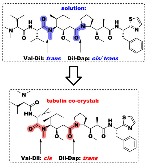 Marine Antitumor Peptide Dolastatin 10: Biological Activity, Structural ...