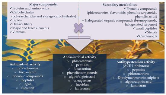 Seaweed Protein Hydrolysates and Bioactive Peptides: Extraction ...