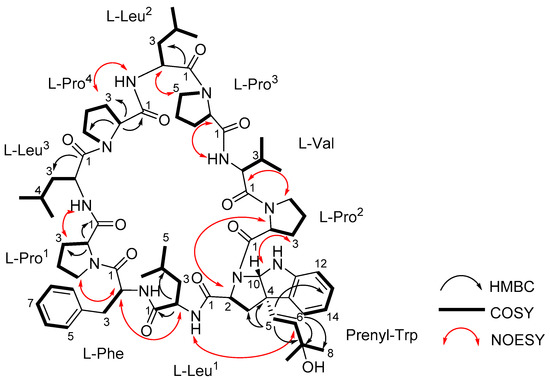 Trikoramides B–D, Bioactive Cyanobactins from the Marine Cyanobacterium ...