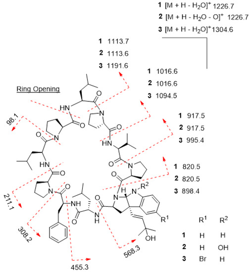 Trikoramides B–D, Bioactive Cyanobactins from the Marine Cyanobacterium ...