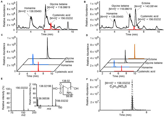Cysteinolic Acid Is a Widely Distributed Compatible Solute of Marine ...